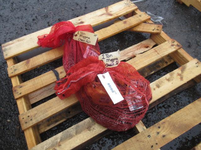 20' 1 TON MAGNA CHAINFALL & 10' 1 TON MAGNA | Proxibid