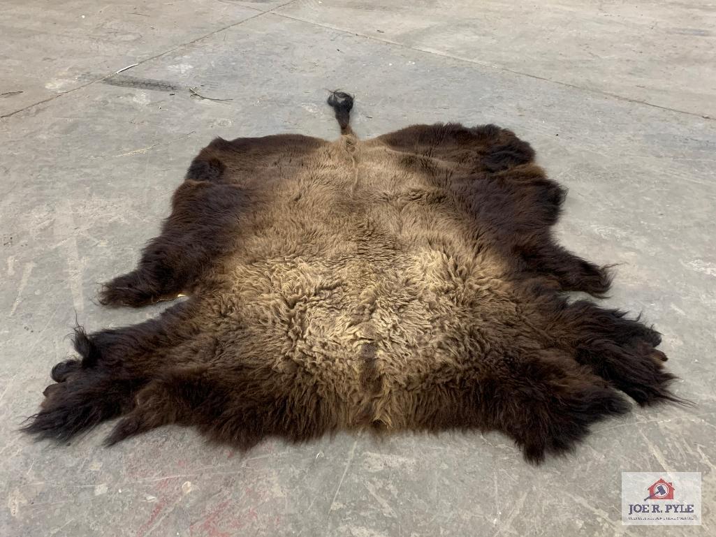 [179] Buffalo Pelt | Proxibid