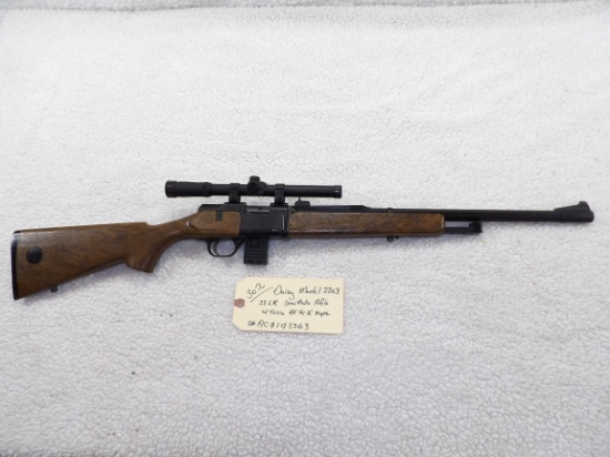 Daisy Model 2203 22 LR Semi Auto Rifle w/Tasco RF 4x15 Scope | Guns ...