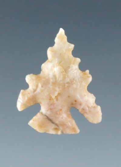 Pictured- Greg Perino personal find! 11/16" Bird Point which Gregory ...