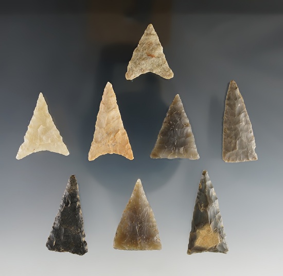Set of 8 assorted Triangle points found in the Kentucky/Tennessee area ...