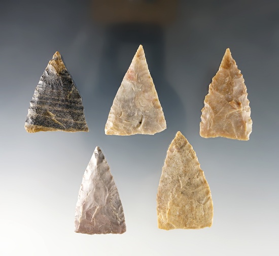 Set of 5 nice Texas Triangular points in good condition. The largest is ...