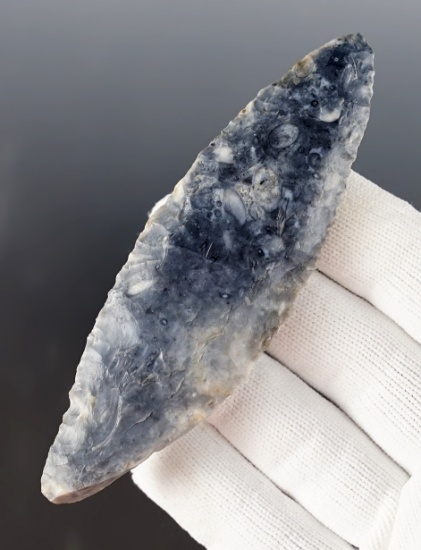Colorful 4 3/16" Cordilleran Blade. Found by Don Rowlett, Case Ranch ...