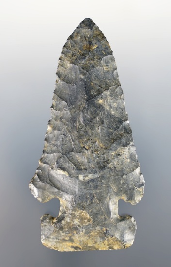 Classic style 3 5/16" Archaic Thebes E-Notch Bevel made from Coshocton ...