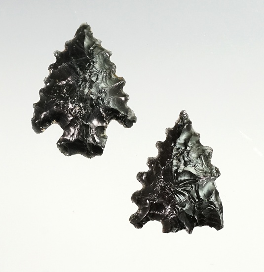 Pair of Calapooya points that are serrated. Found close to the ...