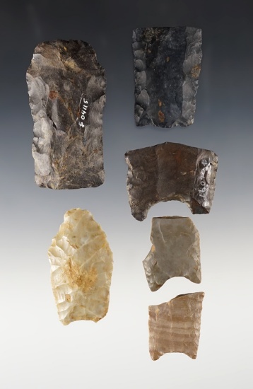 Set of 6 assorted Paleo artifacts including bases and points. The ...