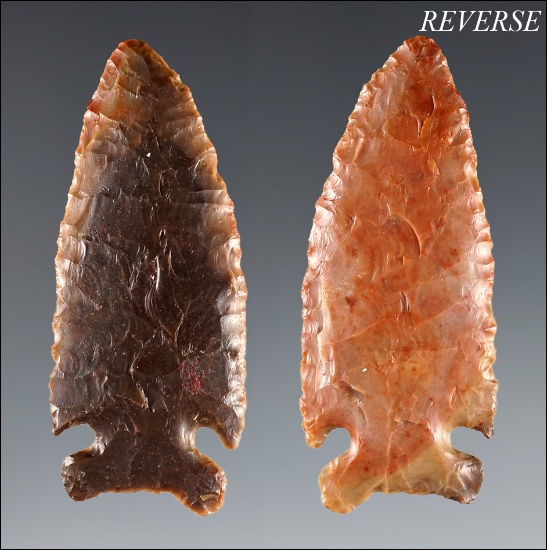 3 1/16" Northern Side-Notched made from multi-colored chert. NV/OR ...