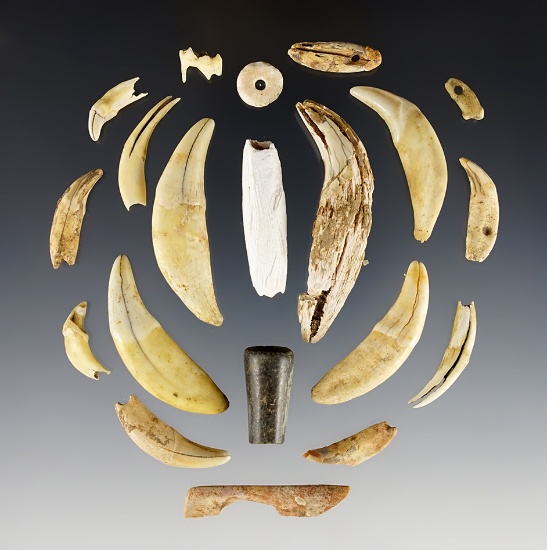 Group of 20 assorted Kentucky artifacts including Teeth, Drilled Teeth ...