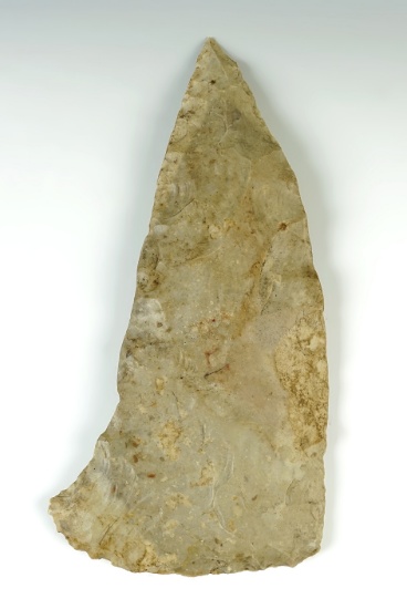 Massive 8" Blade that is well patinated. Found in Simpson Co ...