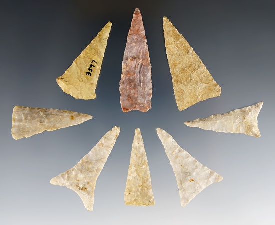 Set of 8 Triangle points found in Clark Co., Kentucky by Charlie Long ...