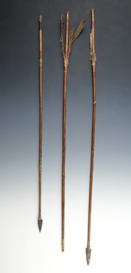 Set of three Plains Indian arrows, two have original tips, one is ...