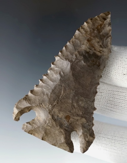 Deep and well defined notches on this 2 13/16" Pinetree found in Adams ...