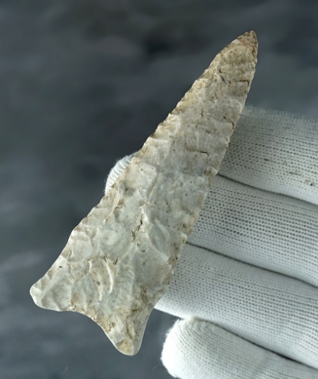 Beveled 3 3/8" Dalton found in Arkansas. Made from Burlington Chert. Ex ...