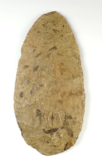 Massive! 11 1/4" x 5 1/4" Spade with nice use polish to bit area. Found ...