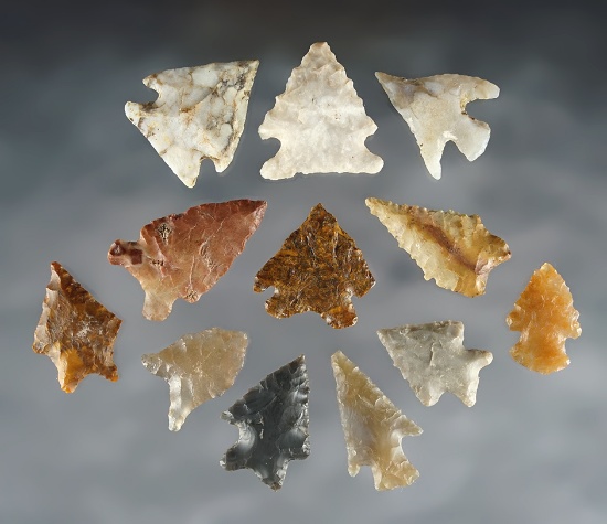 Excellent set of 12 assorted arrow point styles recovered in New Mexico ...