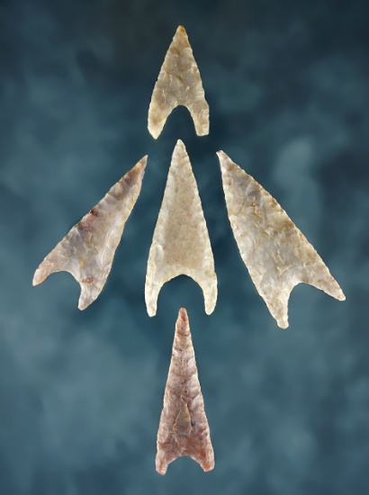Set of 5 rare African Neolithic Recurved Triangle Points in excellent ...