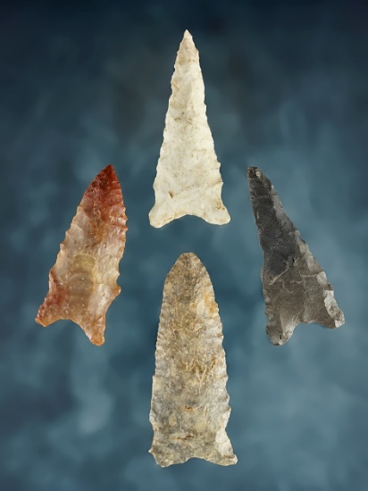 Set of 4 Missouri Dalton points in nice condition. The largest is 2 3/8 ...