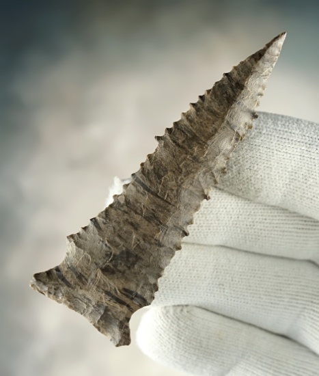 3 3/16" Dover Chert Greenbrier found in Stewart Co., Tennessee. COA. Ex ...