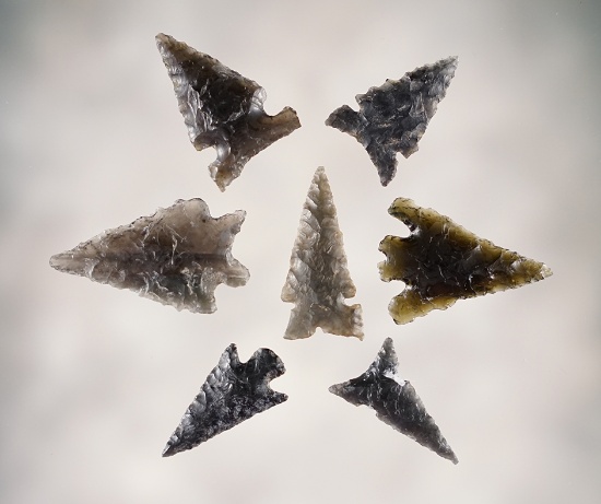 Group of 7 assorted arrow points made from Obsidian with nice style ...
