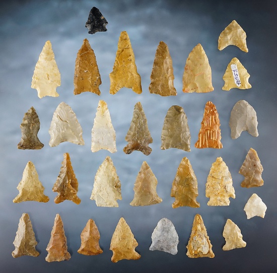 30 assorted Midwestern Points. Many from the Louisiana area. Largest is ...