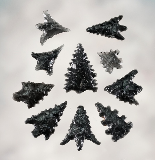 Set of 10 Obsidian Calapooya points found in Oregon. The largest is 3/4 ...
