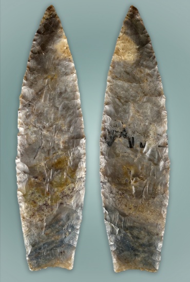 Incredibly thin for the type! 4 1/2" Paleo Lanceolate found in Kinsman ...