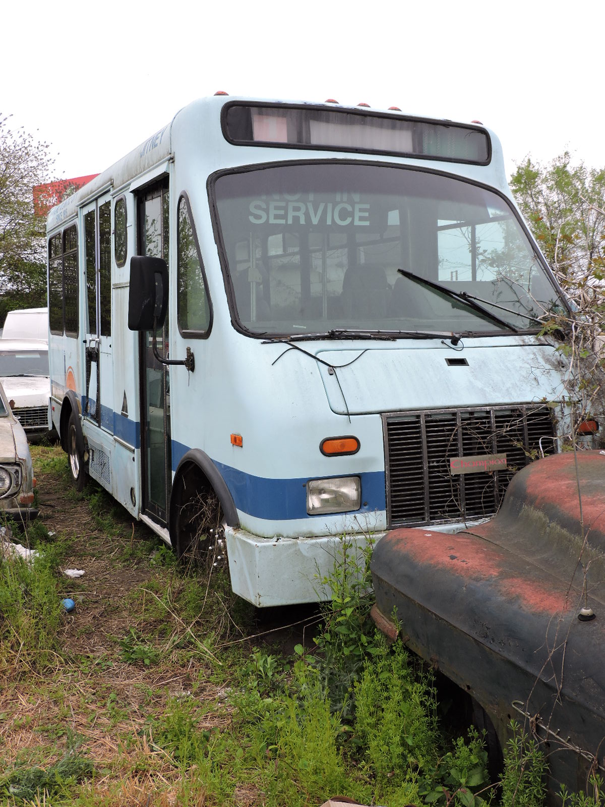 Jitney Buses Would A Jitney Service Improve Business Along Haddon
