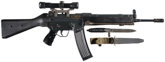 Heckler & Koch HK93 Rifle with Scope, Bayonet, and Accessories | Guns ...