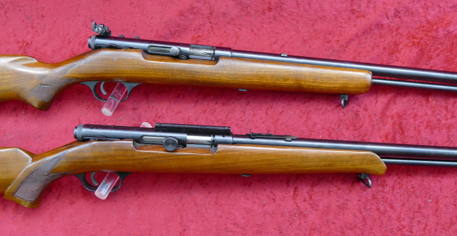 Pink 22 Rifle Semi Auto