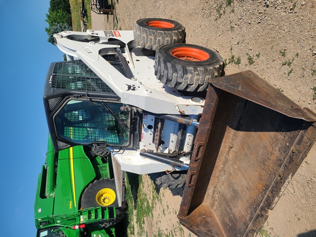 Bobcat 10 On Feet