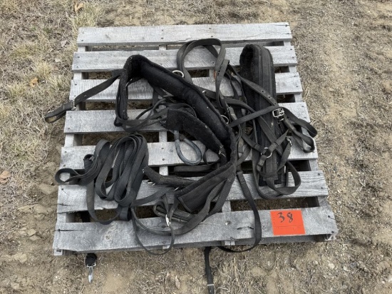 Driving Harness | Online Auctions | Proxibid