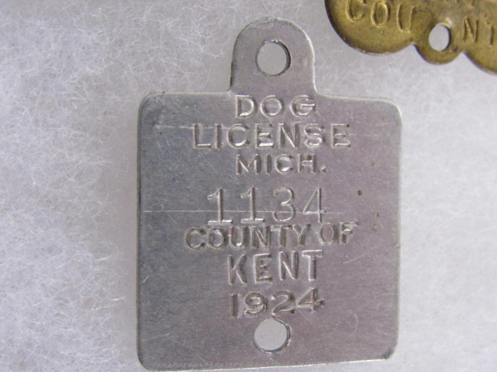 How Do I Get My Dog License In Kent County