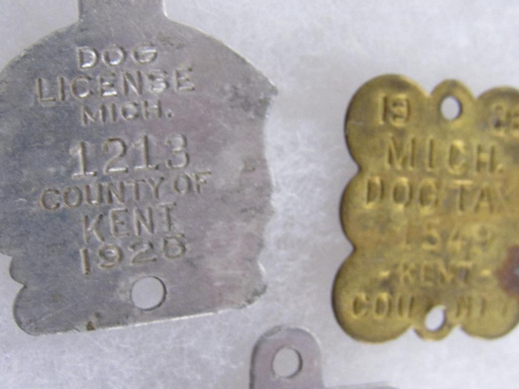 How Do I Get My Dog License In Kent County