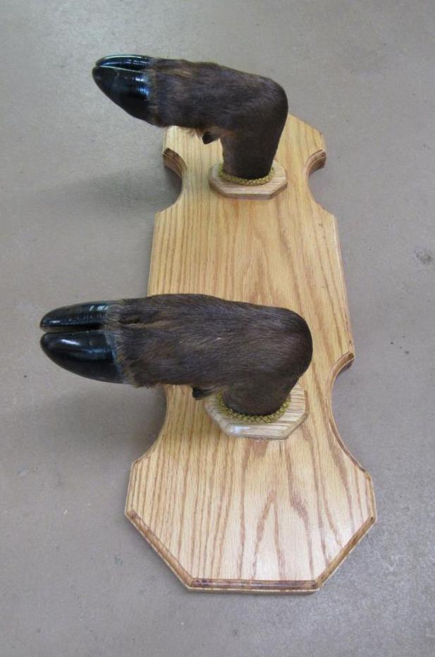 Deer Hooves Gun Rack