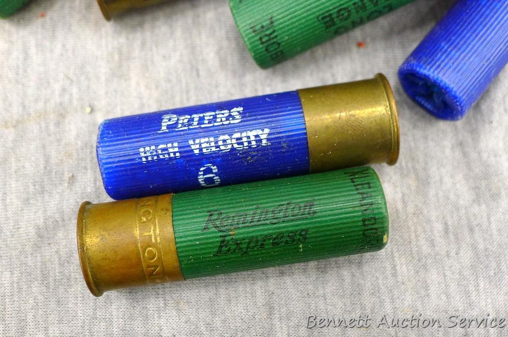 6 Gauge Shotgun Shell