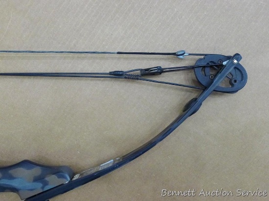 Martin Lynx Compound Bow