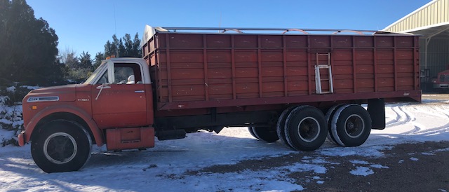 1969 C60 Chevy Truck CHEVROLET C60 Flatbed Dump Trucks Auction Results