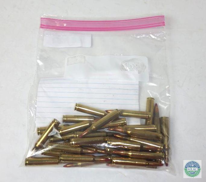 30 Rounds of 5.56 Tracer Ammo | Proxibid