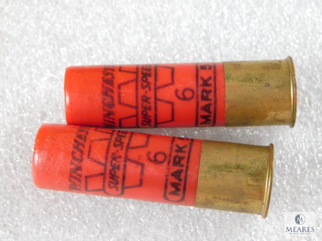 6 Gauge Shotgun Shell