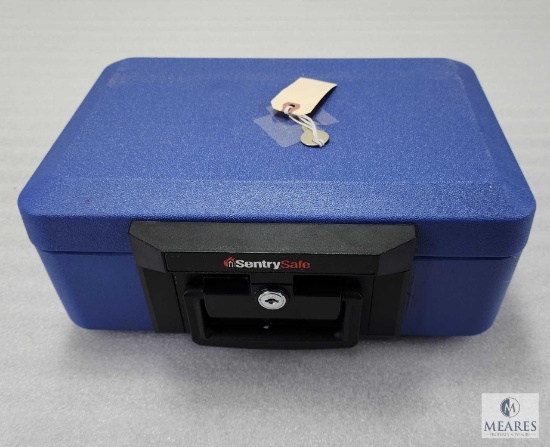 Blue Sentry Fire Safe R4132 | Guns & Military Artifacts Personal ...