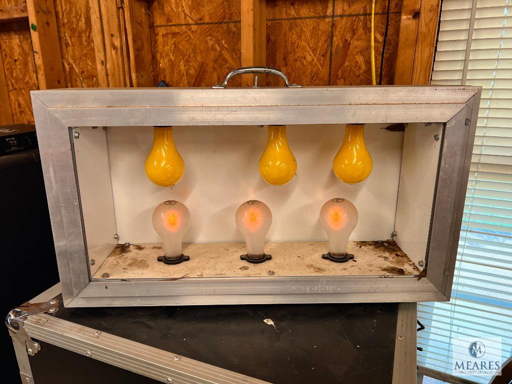 Vintage Flashing Light Display | Proxibid