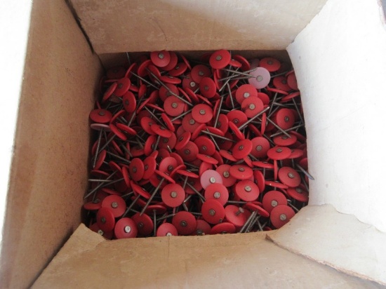 Lot Plex-Caps Simplex Nails | Online Auctions | Proxibid