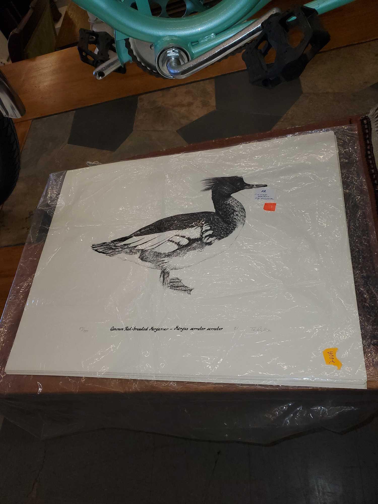 SET OF 12 TE FISHER DUCK FISHER PRINTS, 22 1/2"L | Proxibid