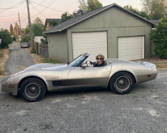1980 Chevrolet Corette Convertible | Collector Cars Classic & Vintage ...