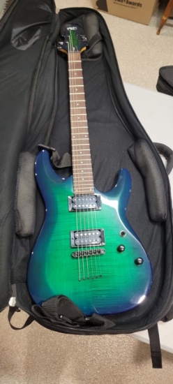 Kiko Auctioneers Auction Catalog - 18 Guitars Plus 125+ Amplifiers ...