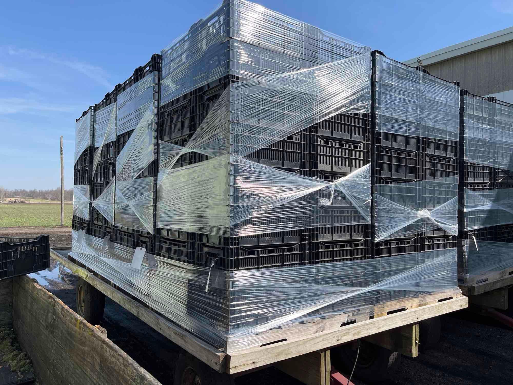 40 plastic produce bins on a pallet | Proxibid