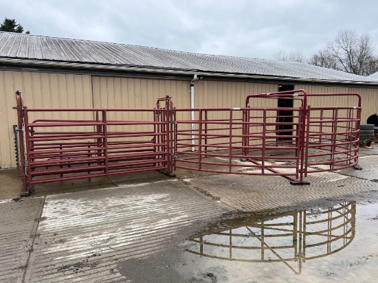 Tarter Sweep Cattle System w/ pinch chute | Online Auctions | Proxibid