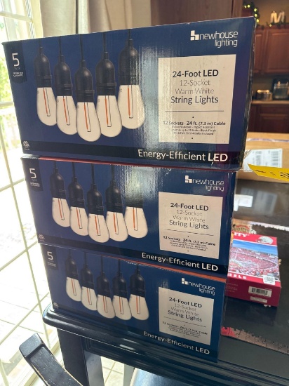 3 Boxes of 24 Ft. LED String Lights | Online Auctions | Proxibid