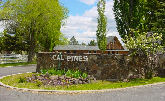 Discover the Calm of California Pines in Modoc County! | Real Estate ...