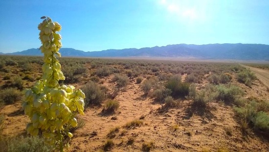 Experience the Growth of Valencia County, New Mexico! | Real Estate ...